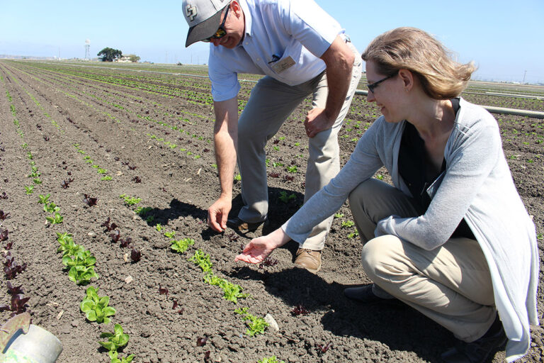 Program Overview of the FSLI Experience – Food Systems Leadership Institute