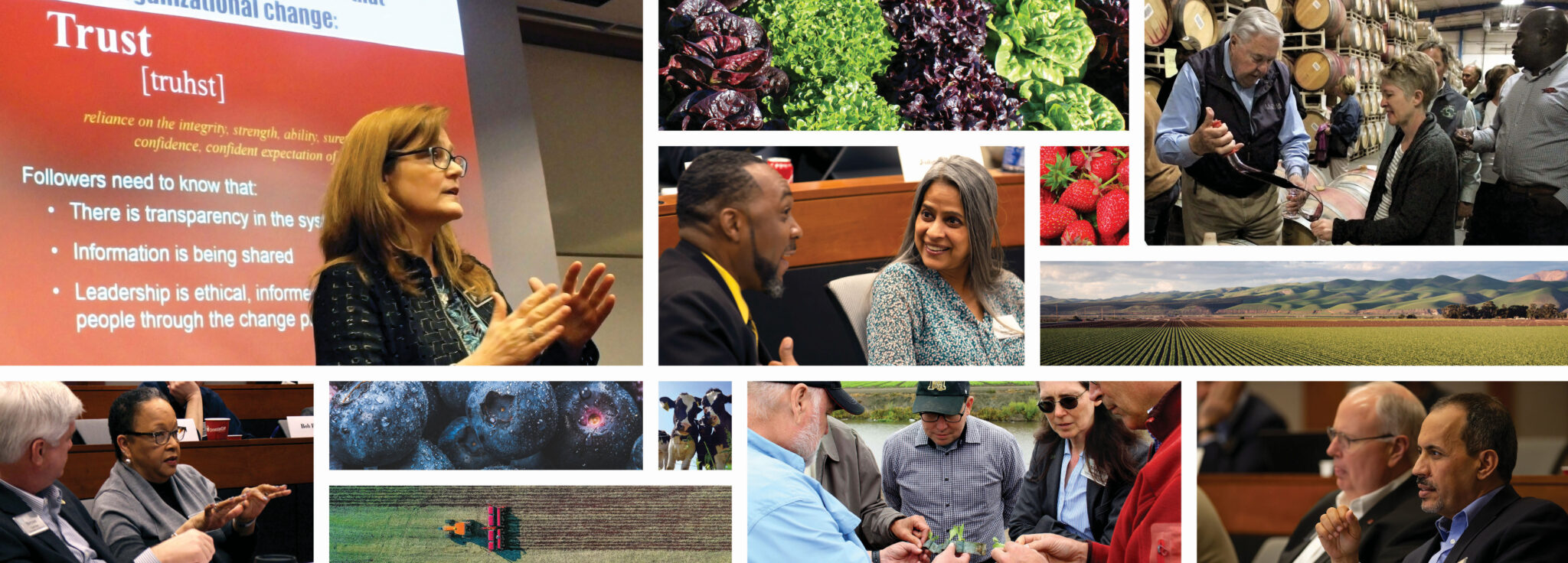 Program Overview of the FSLI Experience – Food Systems Leadership Institute